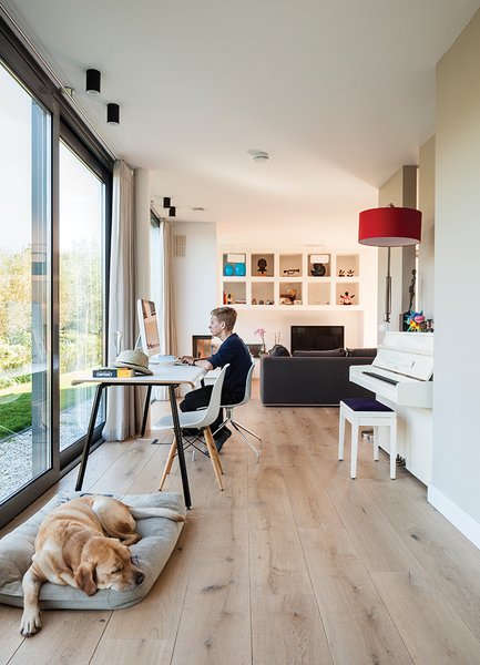 45 Pets in Beautiful Modern Homes - Dwell