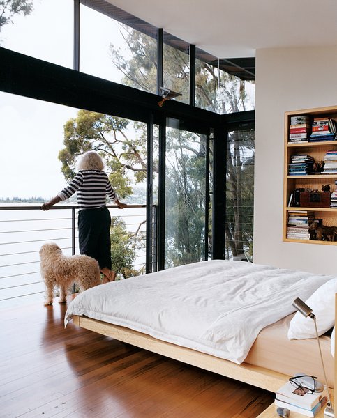 45 Pets in Beautiful Modern Homes - Dwell