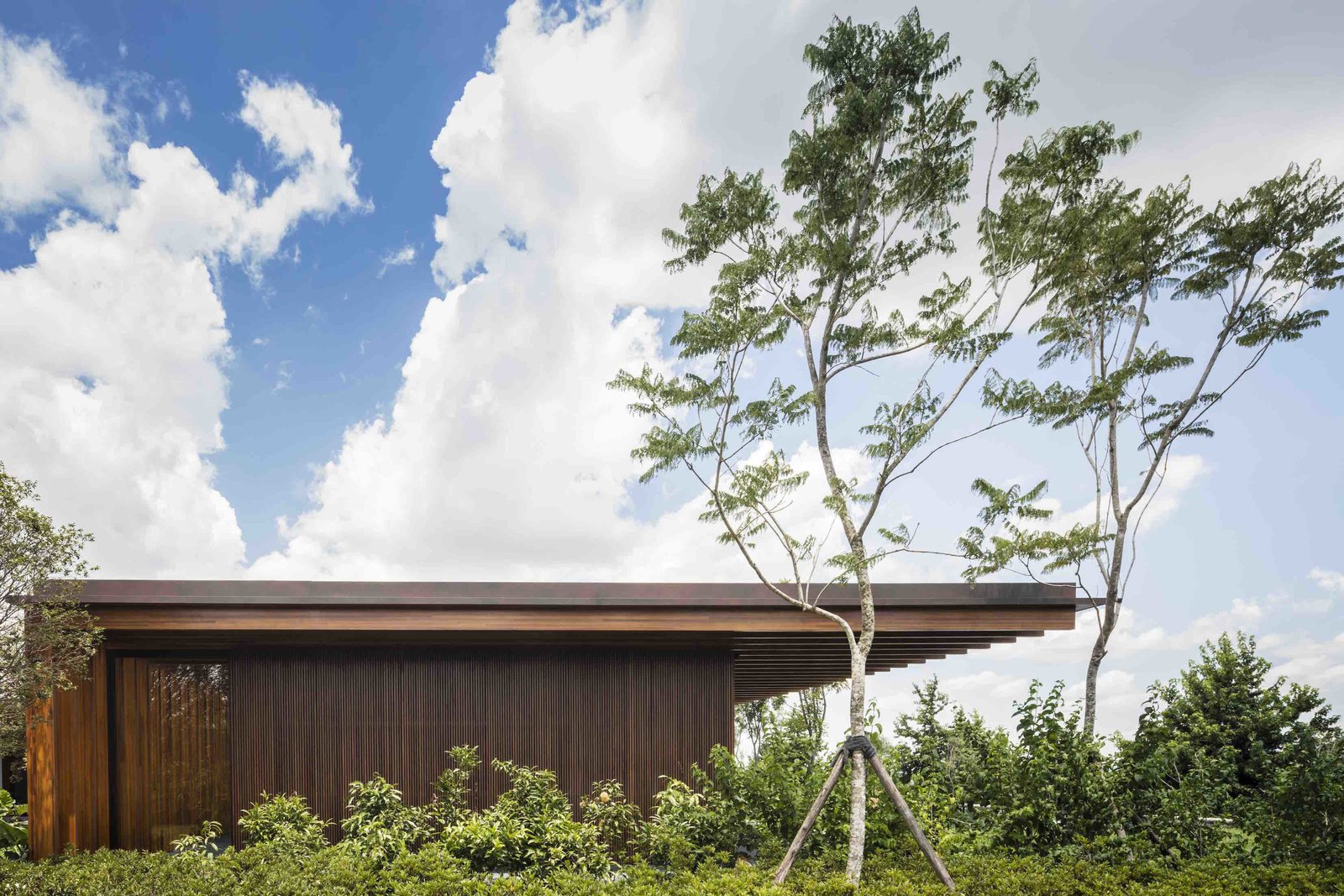 A Brazilian Home With a Touch of Japanese Zen - Dwell
